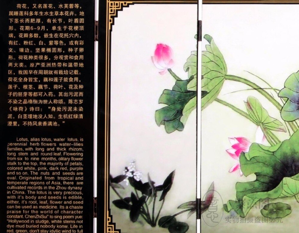 MINI Folding Screens 6 Joined Panels Decorative Pa... – Grandado