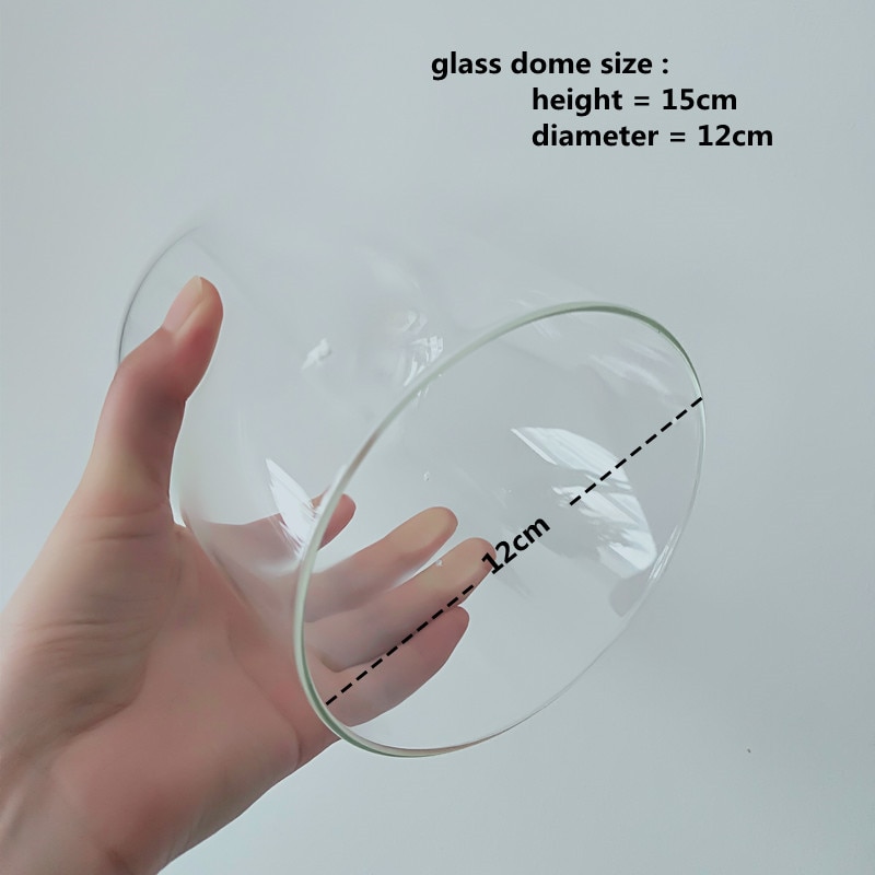 12*15cm Glass Dome Home Decoration Diameter=12cm H... – Vicedeal