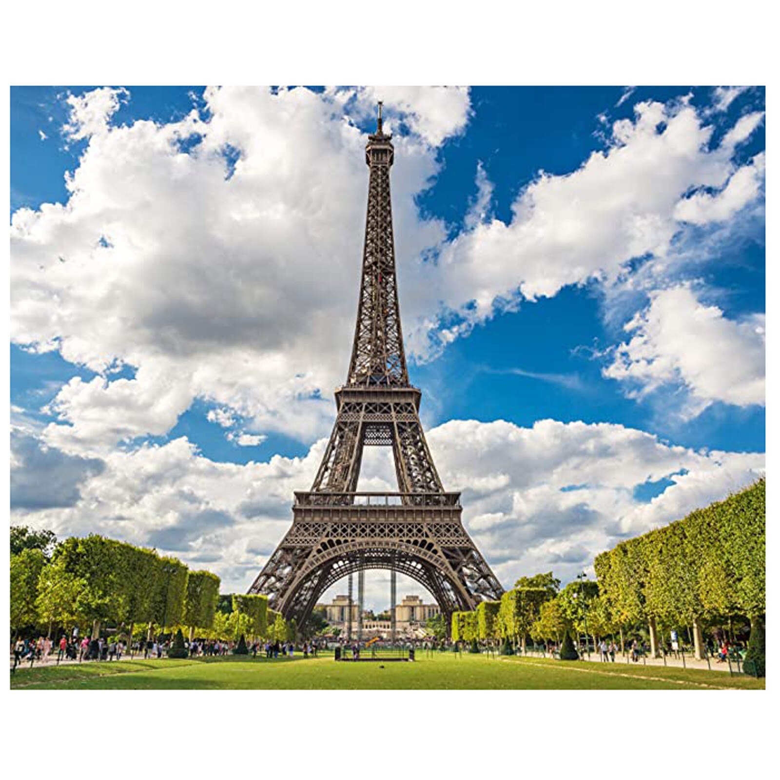 DIY Digital Oil Painting Bubble Colouring Decompre... – Grandado