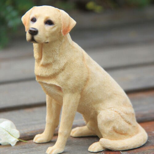 Jjm labrador retriever hund kæledyr figur canidae ... – Grandado