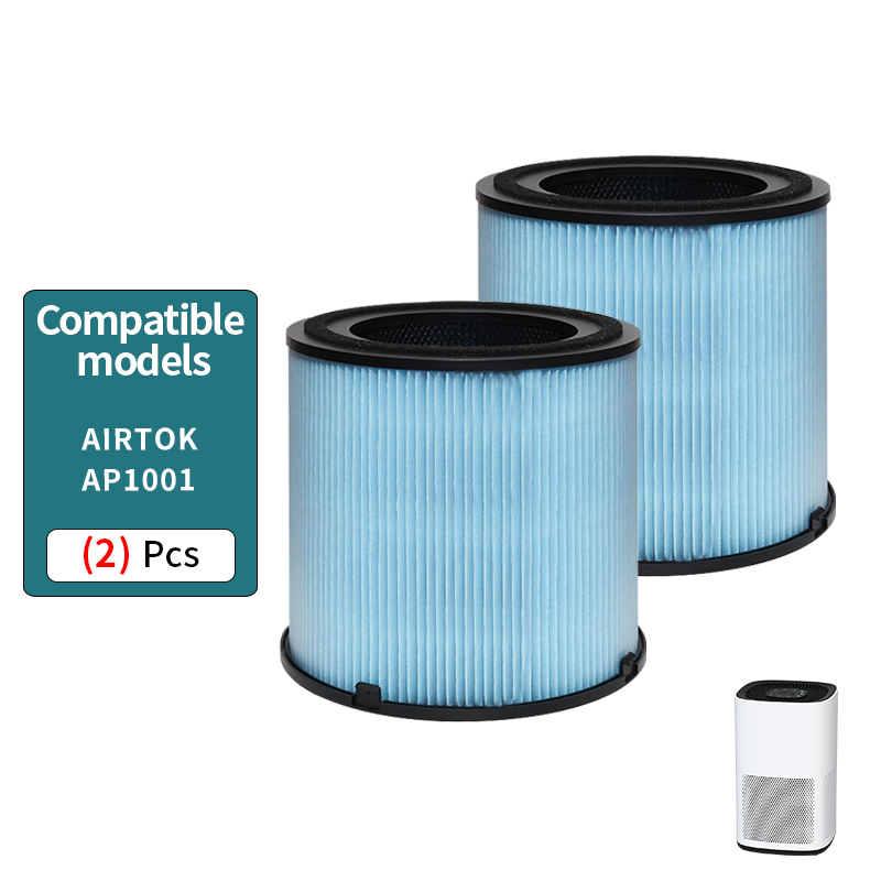 AP1001 Filter Replacement, Compatible with AP1001 ... – Grandado