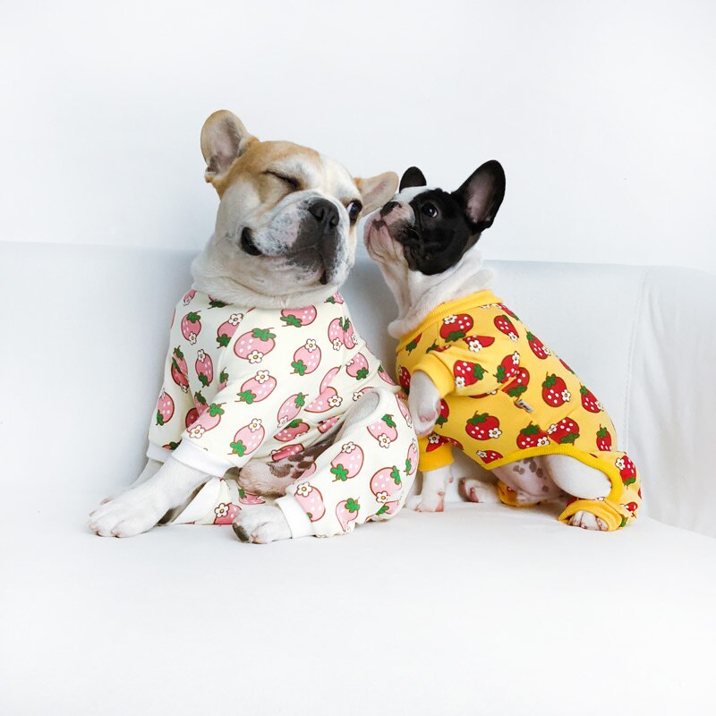 [mpk store] hunde jordbærtøj – Vicedeal