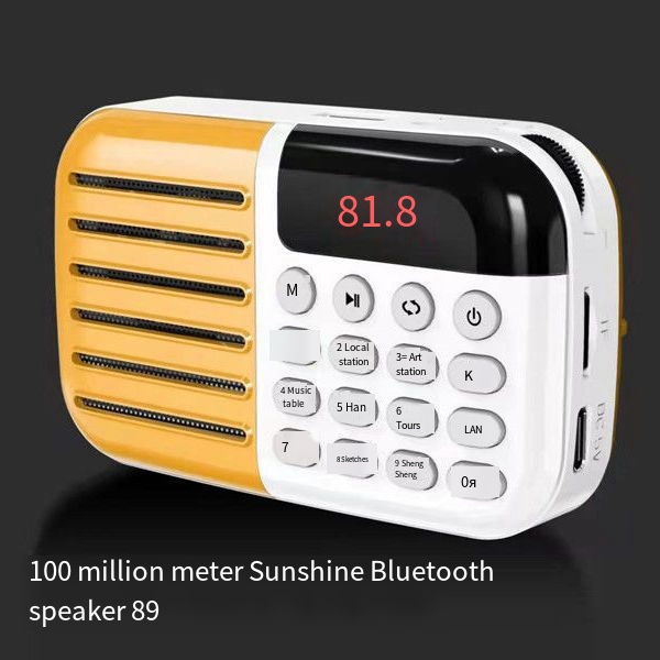 Mini FM Radio Portable Bluetooth Speaker Large Vol... – Vicedeal