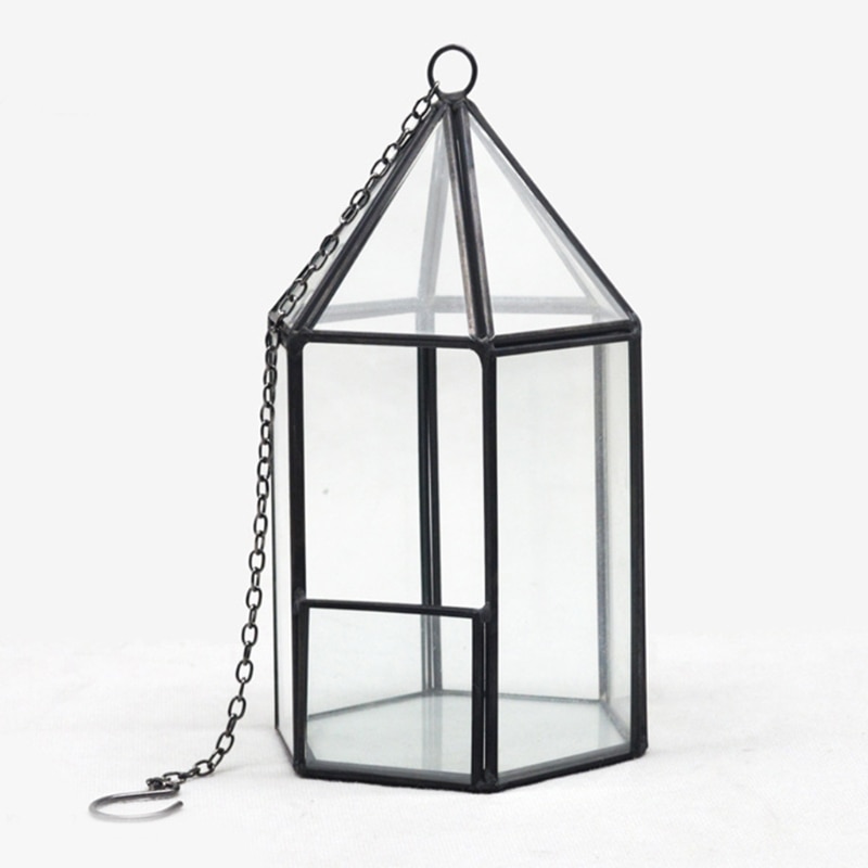 House Shape Close Glass Geometric Terrarium Succul... – Grandado