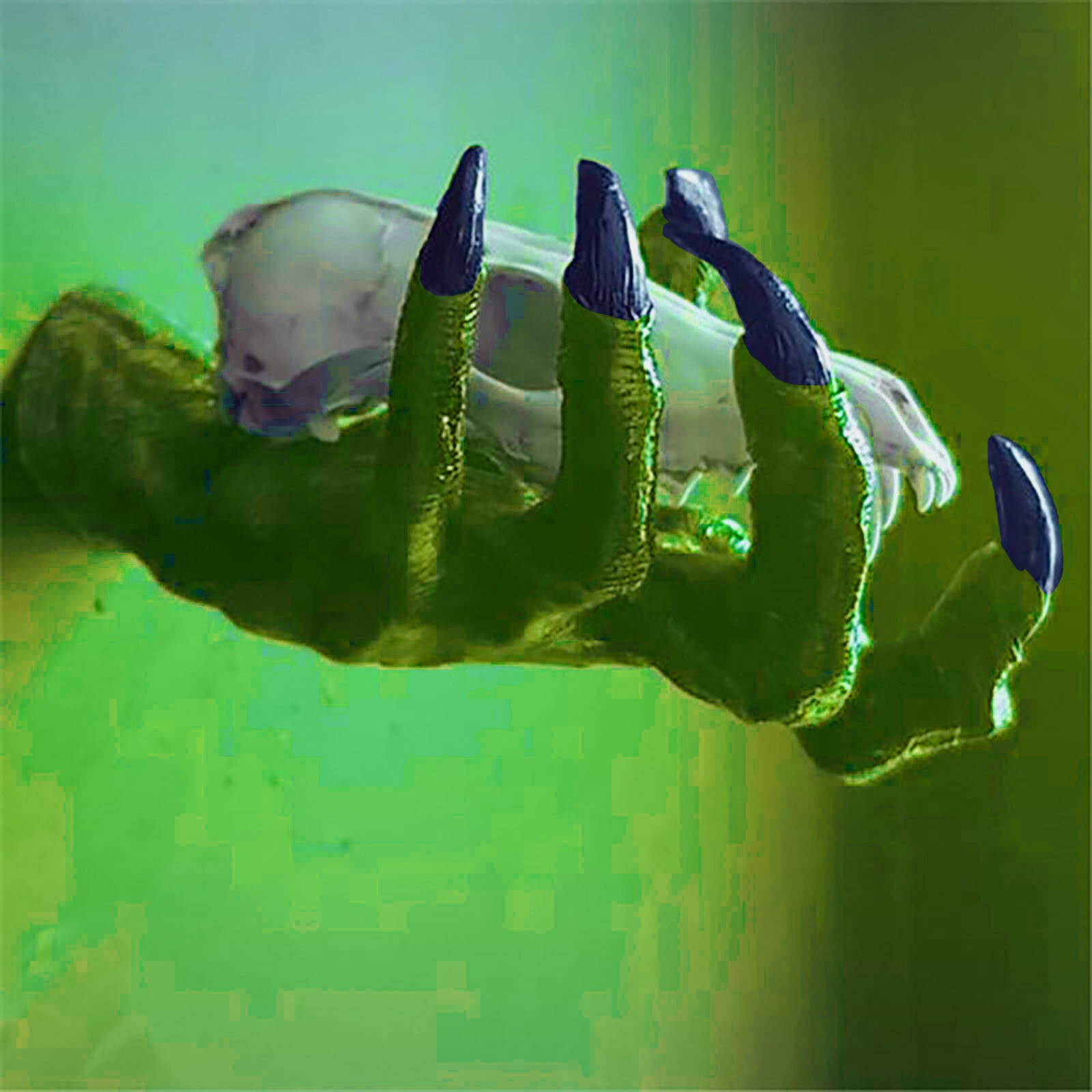 Decorations The Witch's Hand Wall Hanging Features... – Grandado