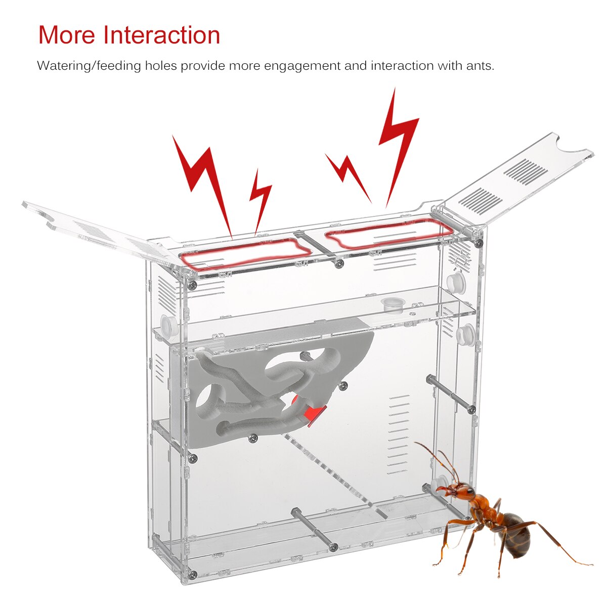 Ant Farm Starter Kit Ant Habitat Science Kit STEM ... – Grandado