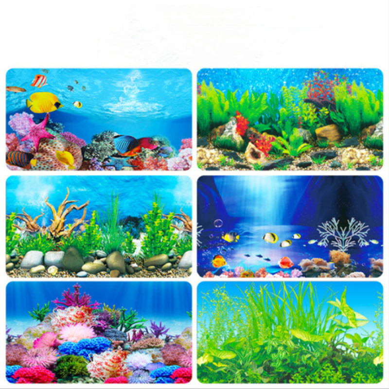 Fish tank background paper painting HD picture 3d ... – Grandado