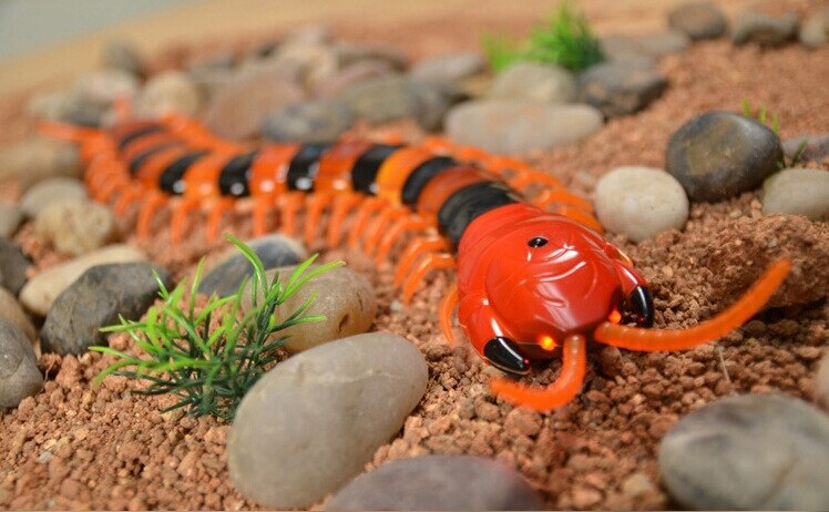 IR RC Scolopendra Simulative Remote Control Animal... – Grandado