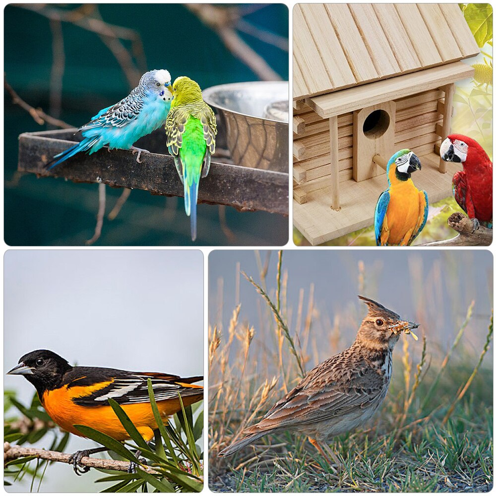 1 Pc Birds House Outdoor Birds Accessories Wooden ... – Grandado