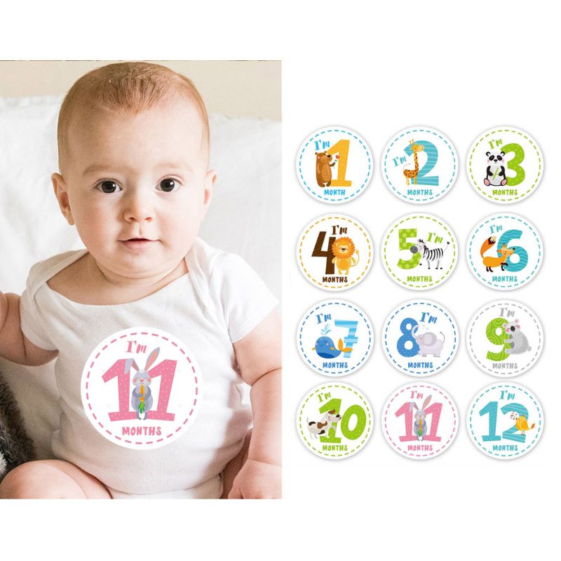 Baby Monthly Sticker Baby Belly Stickers Milestone... – Grandado