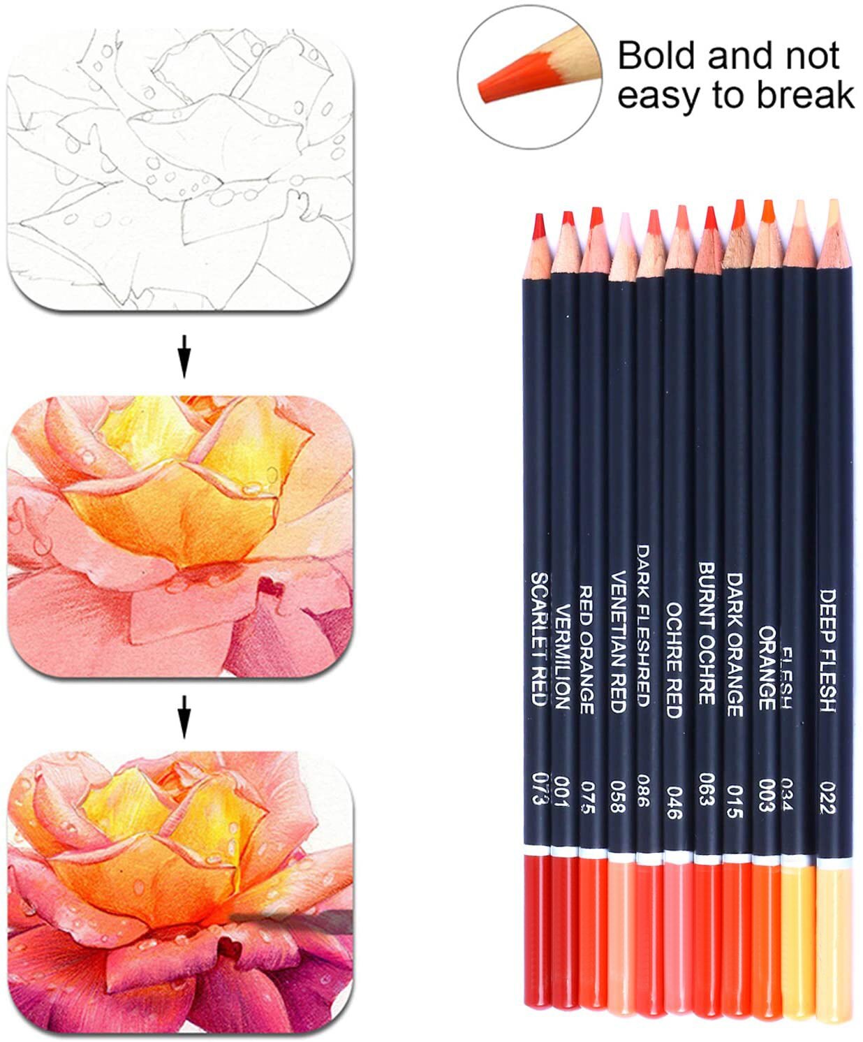 Coloring Pencils-Up To 145 Piece Colored Pencils D... – Vicedeal