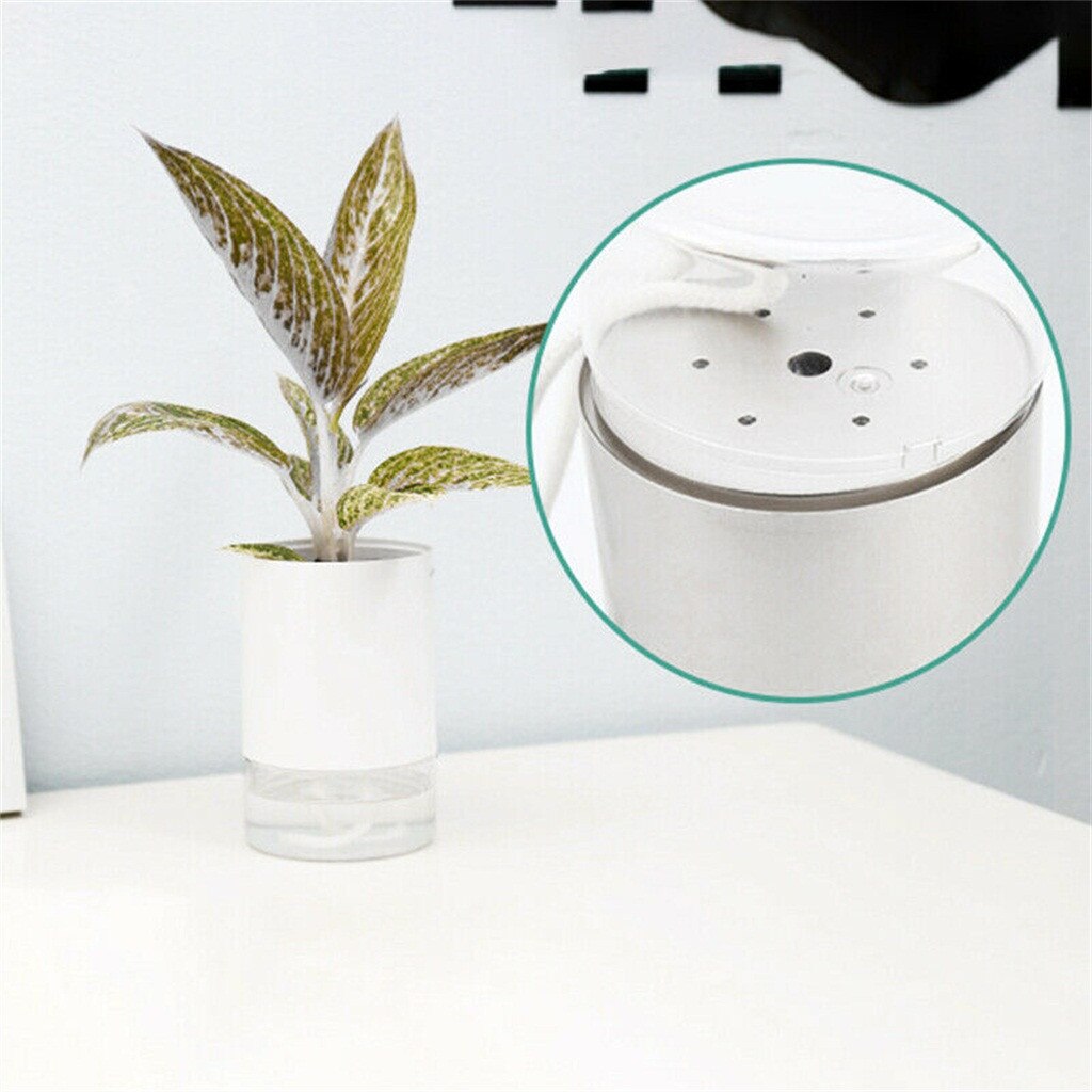 flower pot Plants Flower Pot Auto Watering Self Ir... – Vicedeal