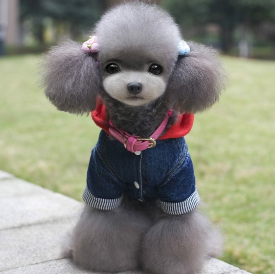 A204 Hond Jeans Hoodie Romper kleding Puppy hond w... – Vicedeal