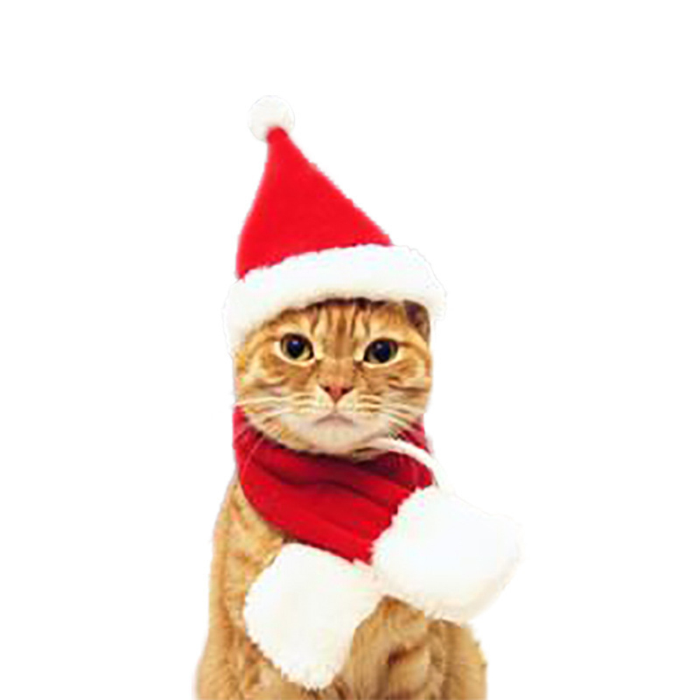 Kerst Hoed Halloween Huisdier Kostuum Voor Kat Hon... – Vicedeal