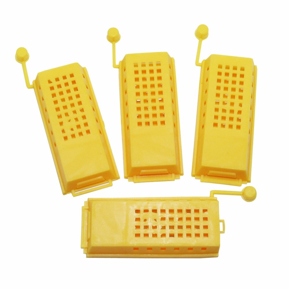60 Pcs Plastic Bee Queen Bescherming Kooi Bijentee... – Grandado