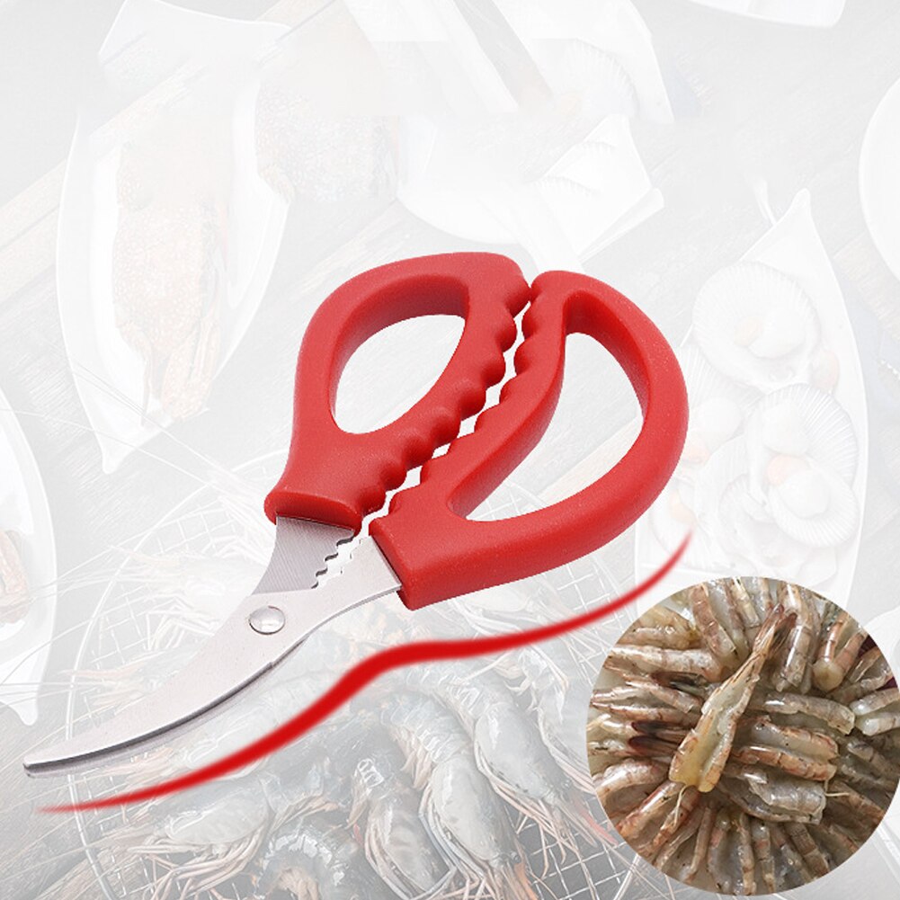 3Pcs Koken Gereedschap Zeevruchten Schaar Roestvri... – Grandado