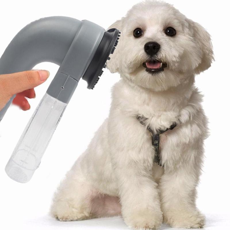 Portable Electric Pet Sucker Pet Hair Shed Not Spr... – Grandado