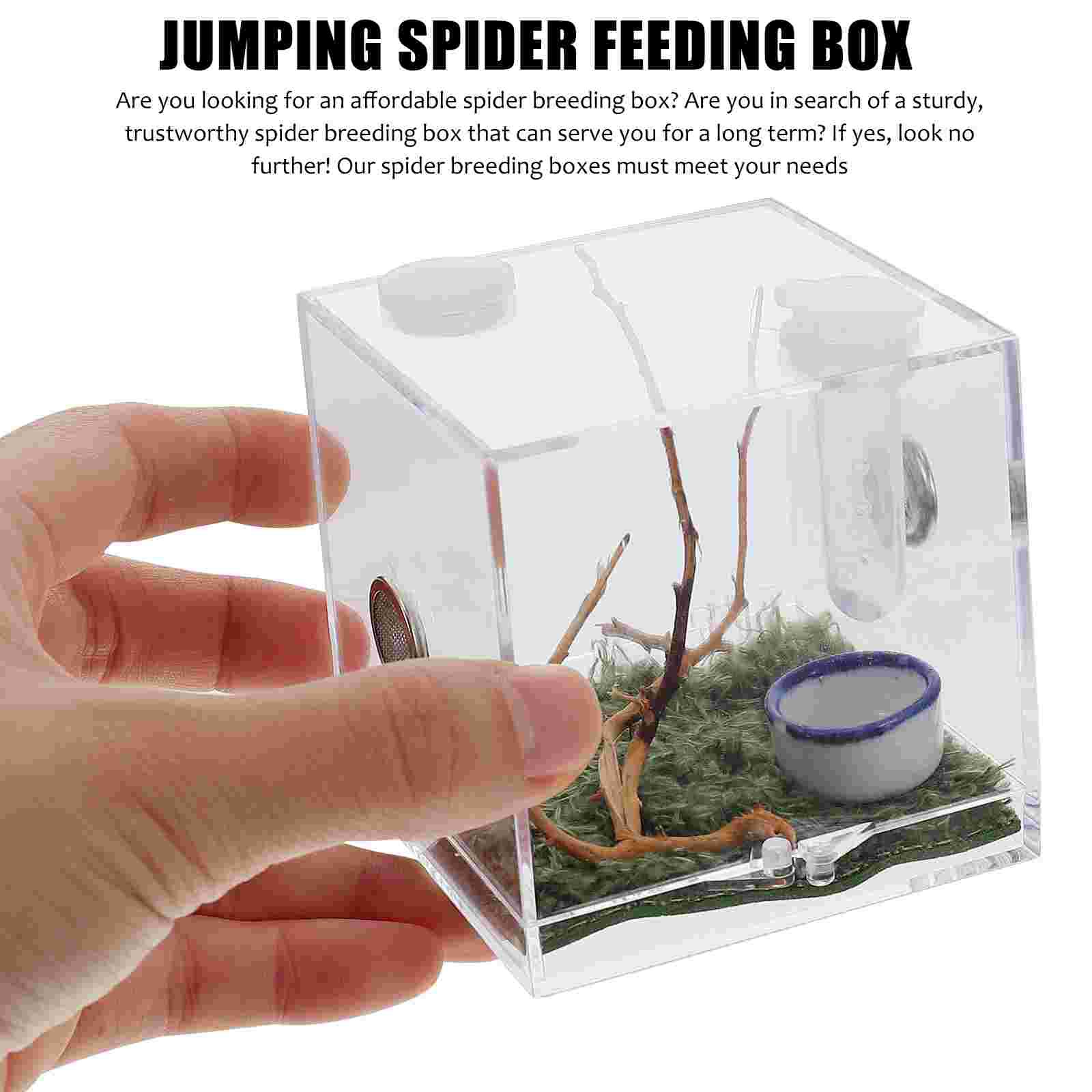 1 Set of Spider Habitat Box Jumping Spider Enclosu... – Grandado