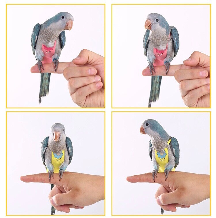 Parrot Diaper Pet Bird Clothes Reusable Washable N... – Vicedeal