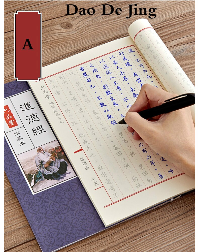 Pen Calligraphy Chinese Classical Regular Script H... – Vicedeal