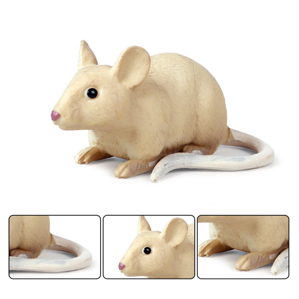 Realistic Mouse Rat Opossum Animal Model Figures D... – Vicedeal
