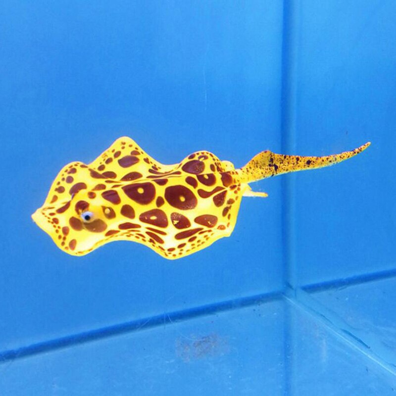 1pcs Mini Fish Tank Decor Devil Goldfish Silicone ... – Grandado