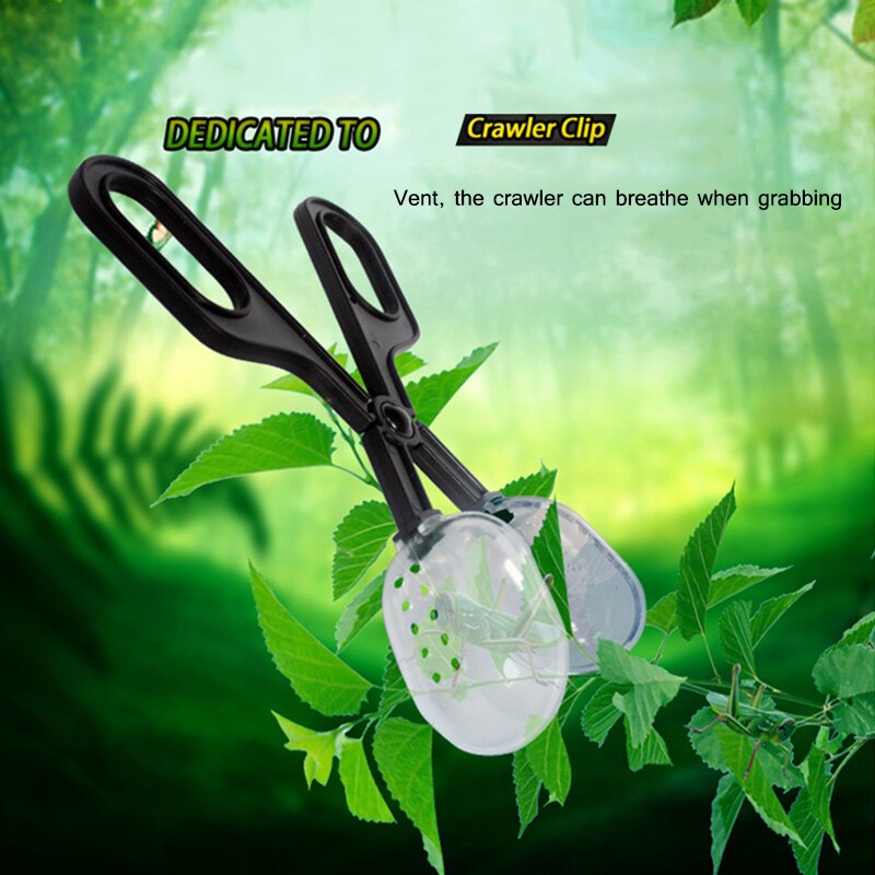 Reptil Terrarium Spinne Cricket Clamp Aquarium Wur... – Vicedeal