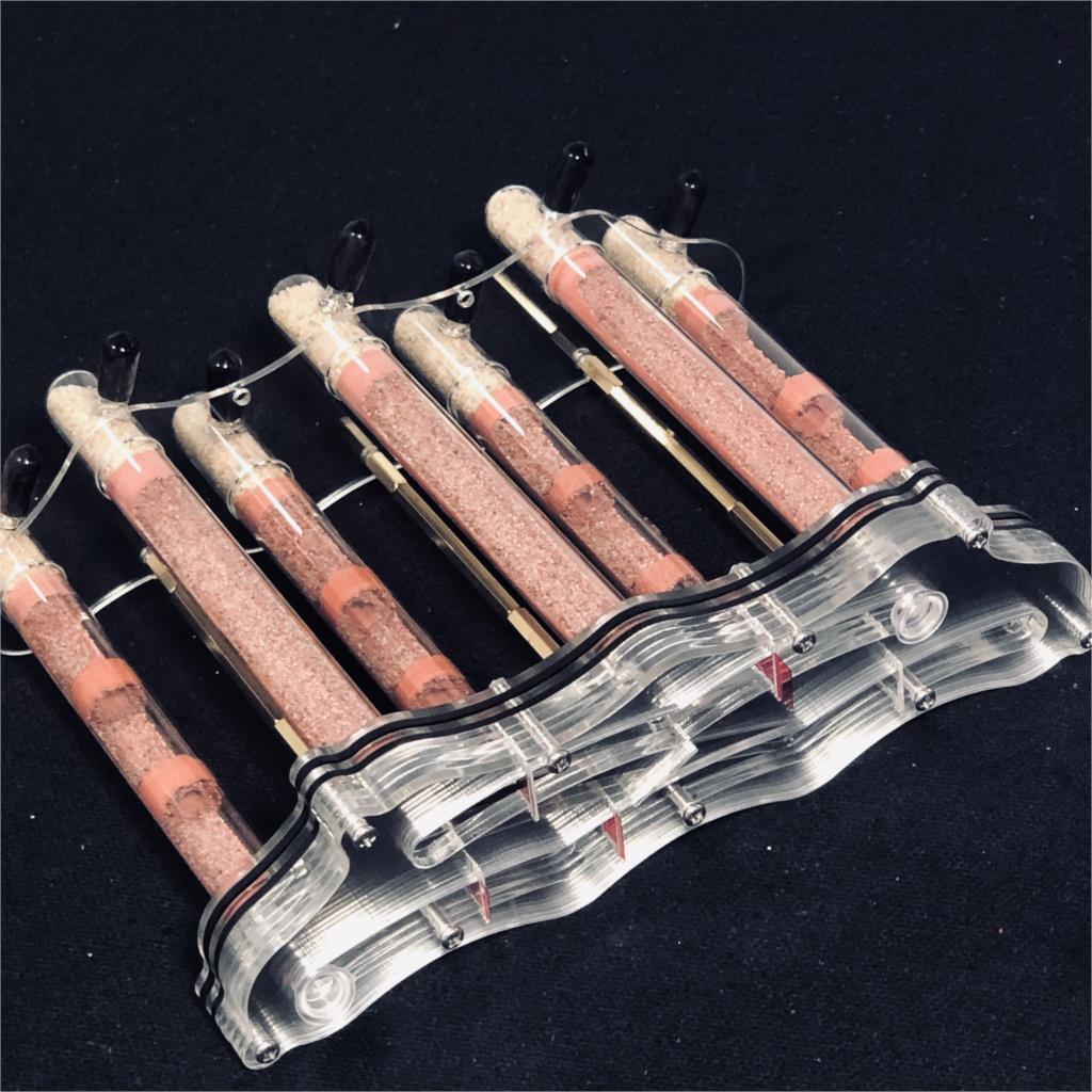 Educational Ant nest insect Cages natural sand 7pc... – Grandado