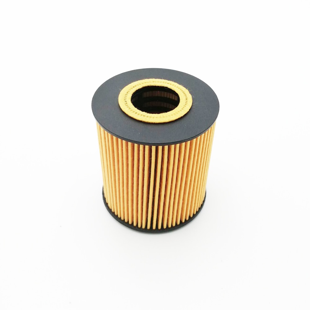 Engine Oil Filter hu818x – Grandado