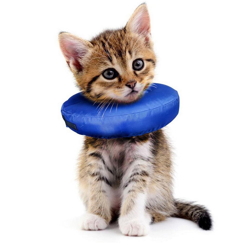 Huisdier Kat Hond Opblaasbare Kraag Herstel Wondge... – Grandado