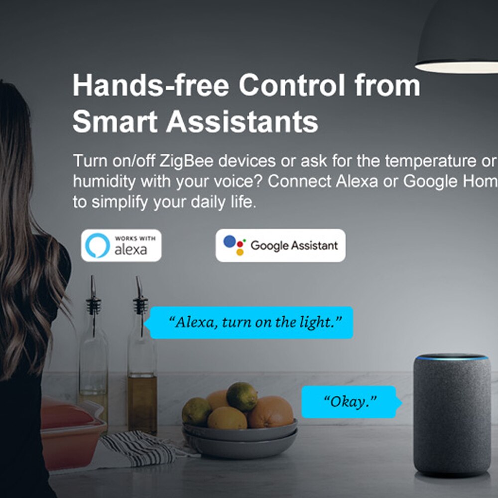 SONOFF ZBBridge Smart Zigbee Bridge Zigbee 3.0 APP... – Grandado