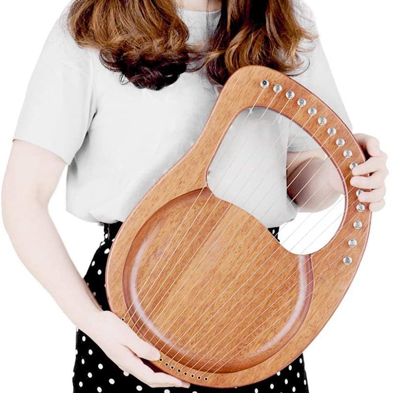 Seize Cordes Harpe 16 Cordes Piano En Acier Fil de... – Grandado