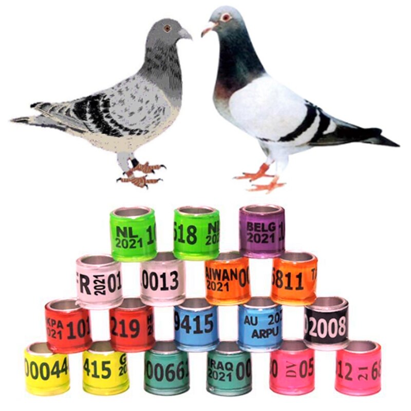 50Pcs Multi-color Duif Bands Vogel Voet Ring Soort... – Grandado