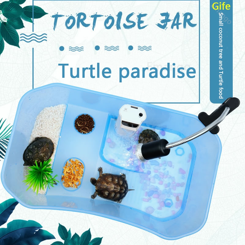 Small Plastic Open Fish Tank with Basking Platform... – Vicedeal