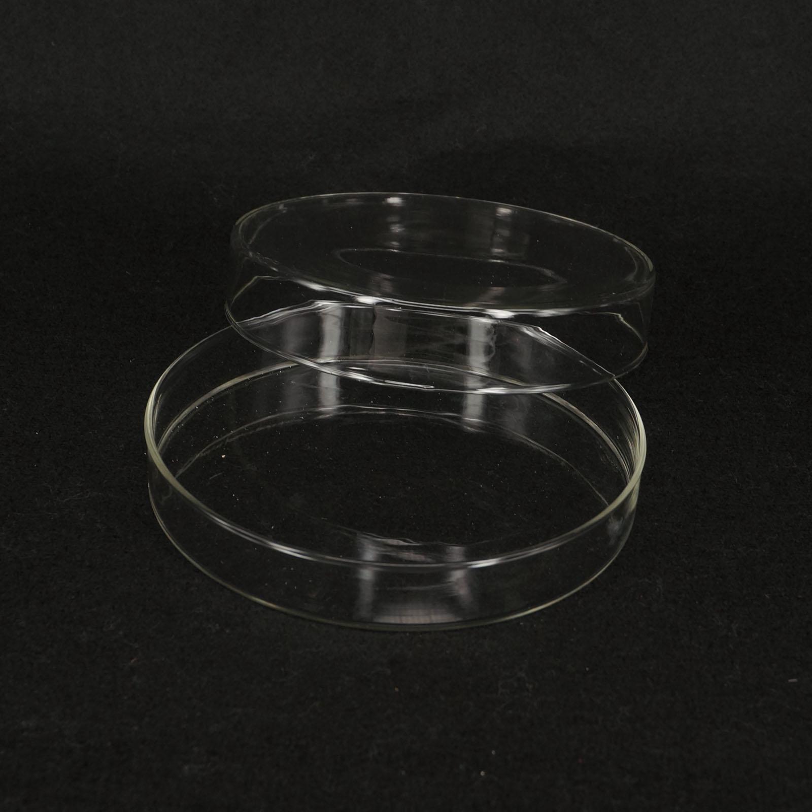 150mm Borosilicate Glass Petri Culture Dish with L... – Grandado