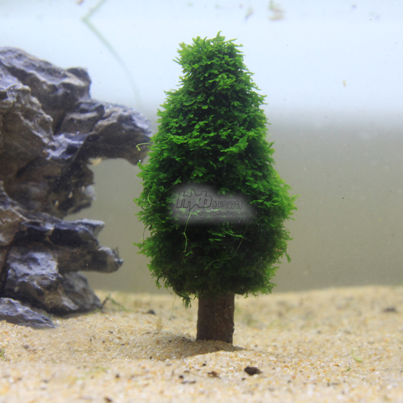 ETB fish tank landscaping Moss tree Christmas tree... – Grandado