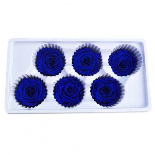 6PCs/Box Preserved Fresh Rose Flower Heads Class B... – Vicedeal