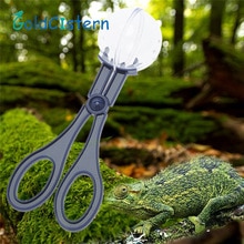 Pet Insekten Reptil Terrarium Aquarium Wurf Blau P... – Vicedeal
