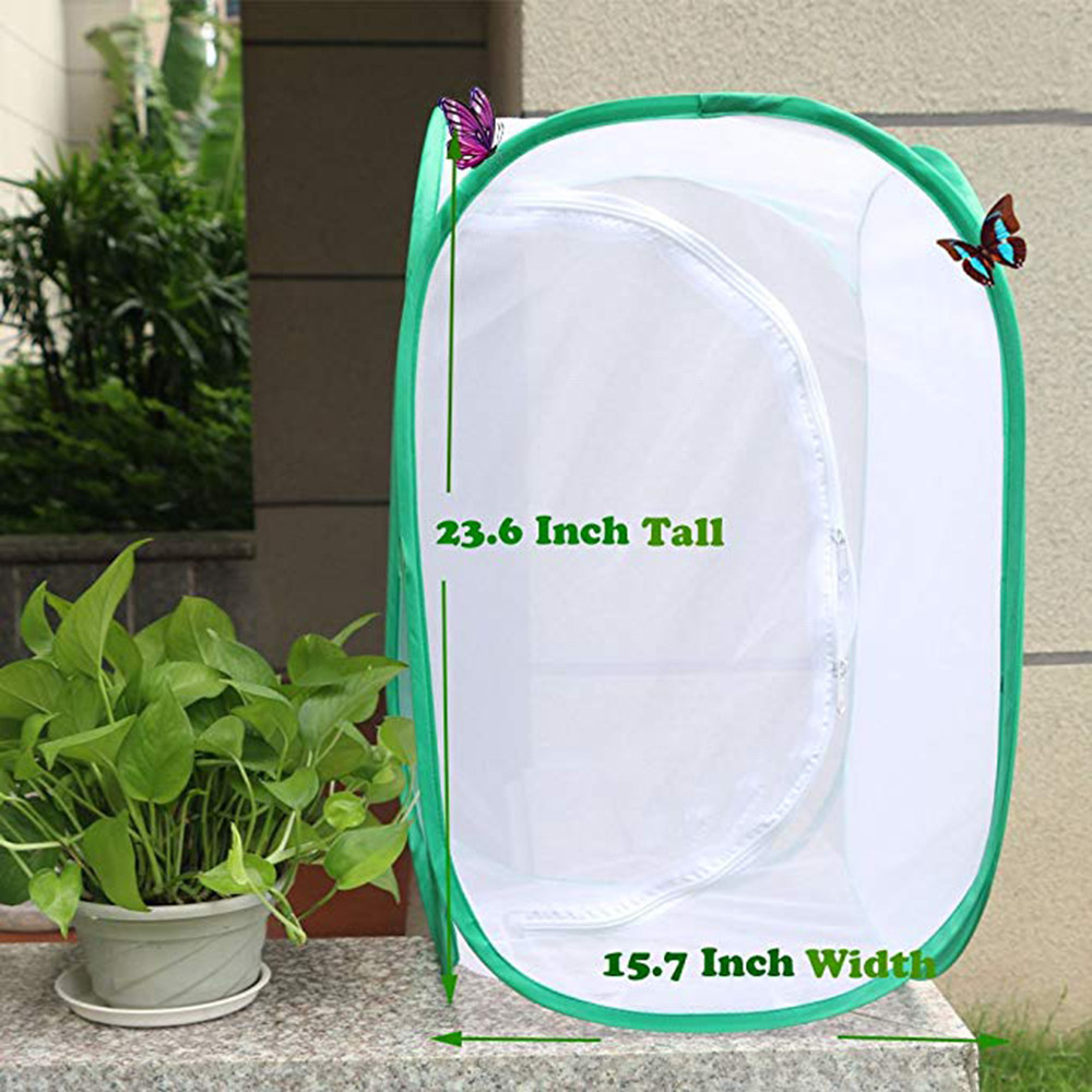 1PC Collapsible Insect and Butterfly Habitat Cage ... – Grandado