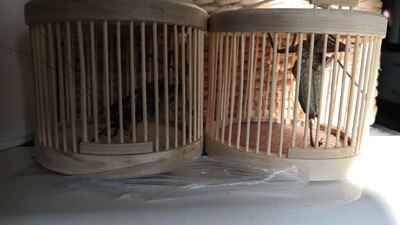 small insect cage handmade bamboo round cricket ka... – Vicedeal