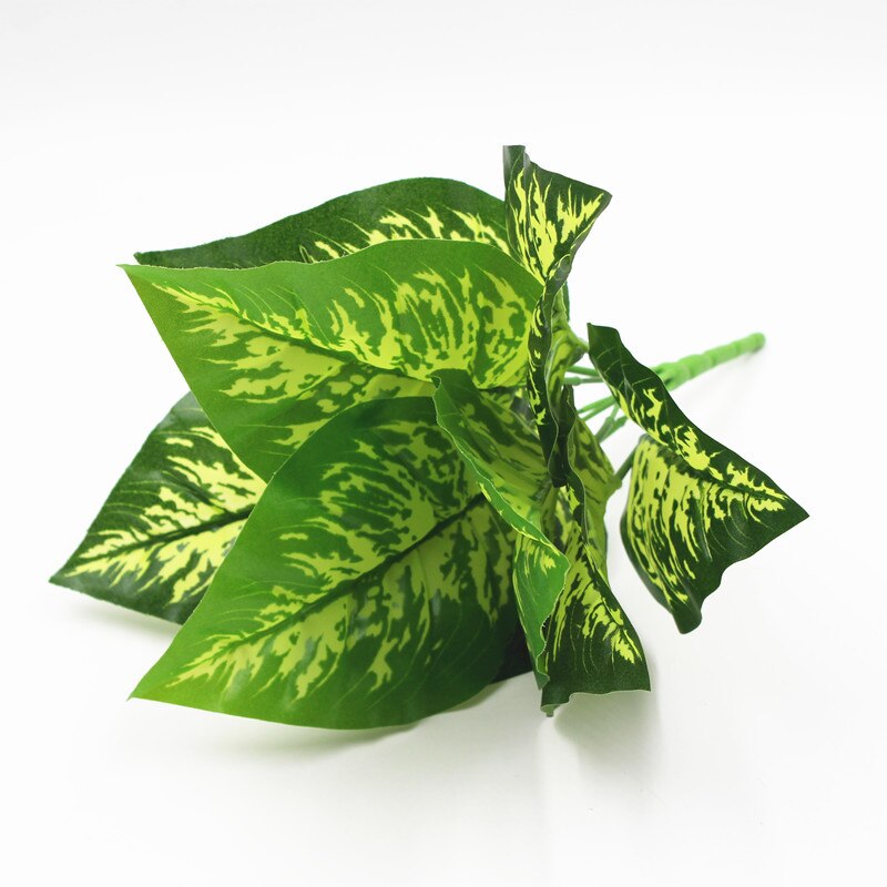 Yiwu Small Pot Plant Flower Arrangement Green Vege... – Grandado