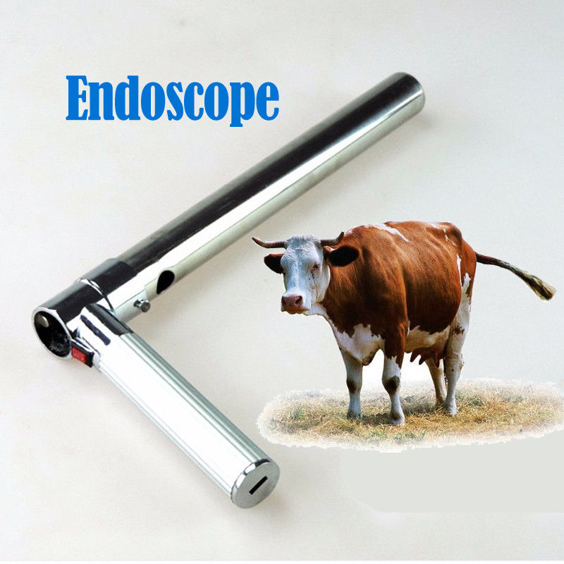 Endoscop Examination of Insemination Endoscope for... – Vicedeal