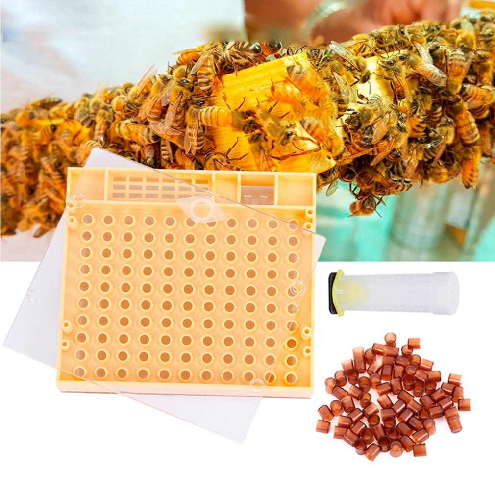 1 Set Beekeeping Complete Queen Rearing Set Cups B... – Vicedeal