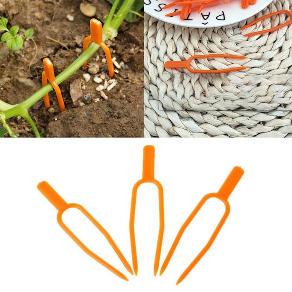 50pcs Strawberry Seedling Fixing Clips Resusable P... – Vicedeal