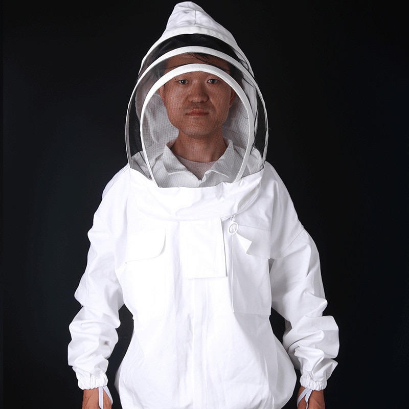 Shun Chang supplies export-oriented full-body spac... – Vicedeal