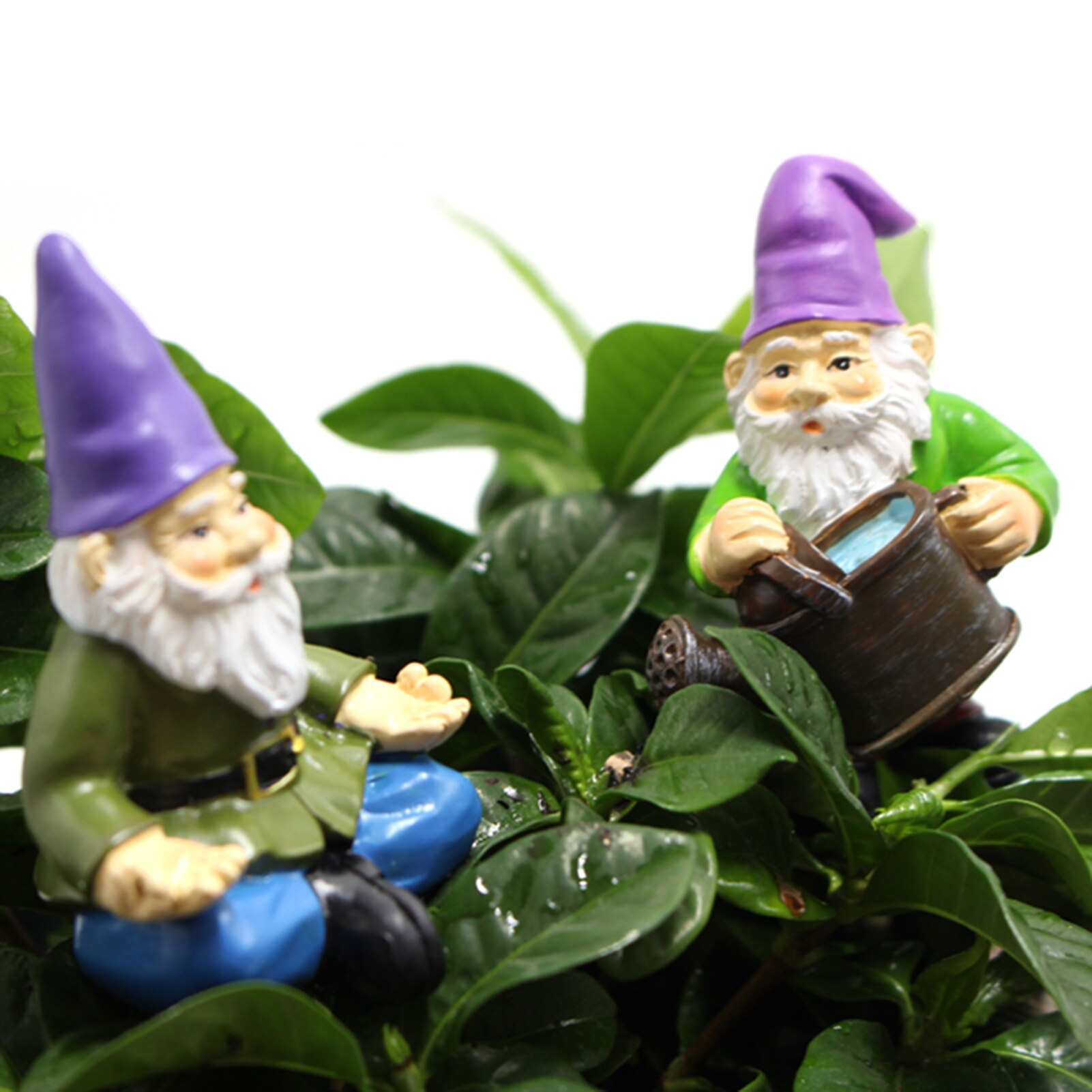 5pcs Fairy Garden Miniatures Gnome Dwarf Micro Min... – Grandado