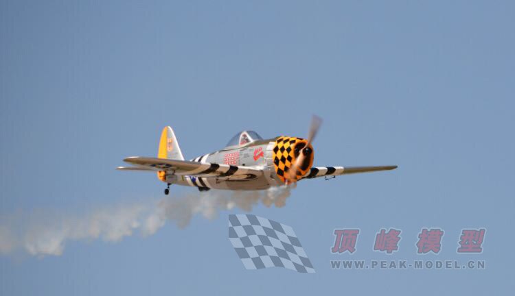 RCEXL Mini Smoke Pump/ Smoking Pump With Adjustabl... – Grandado