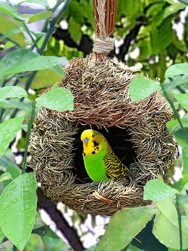 Gardening Bird House Straw Woven Bird Resting Plac... – Grandado