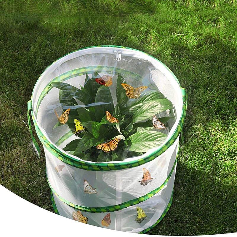 Large Insect Cage Outdoor Garden Butterfly Grassho... – Grandado