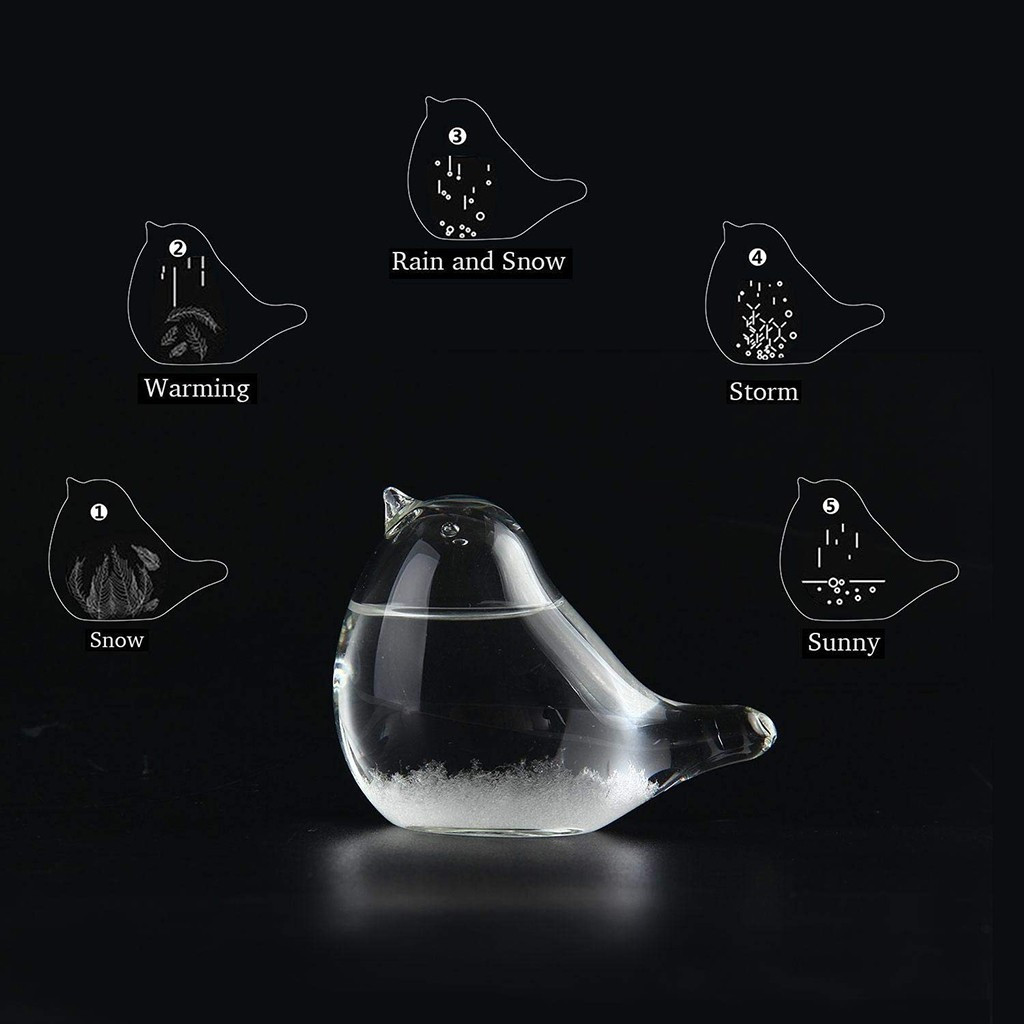 Storm Glass Weather Forecaster Bird Shape Crystal ... – Grandado
